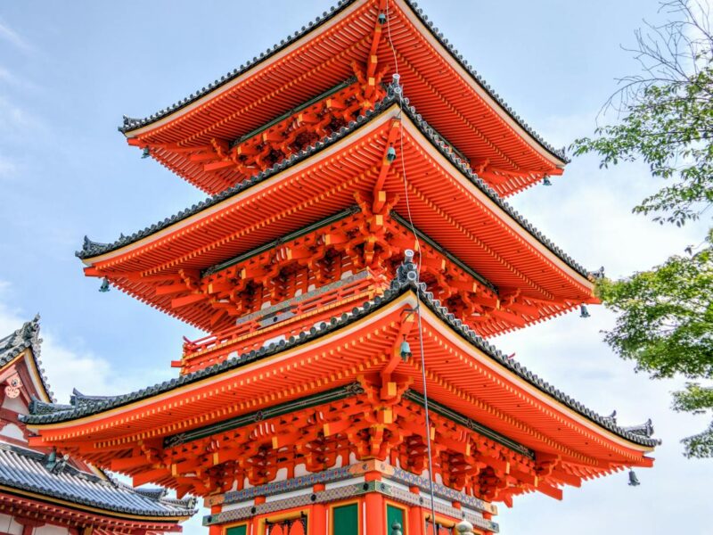 Nozomi vs. Kodama Trains: Key Differences Explained