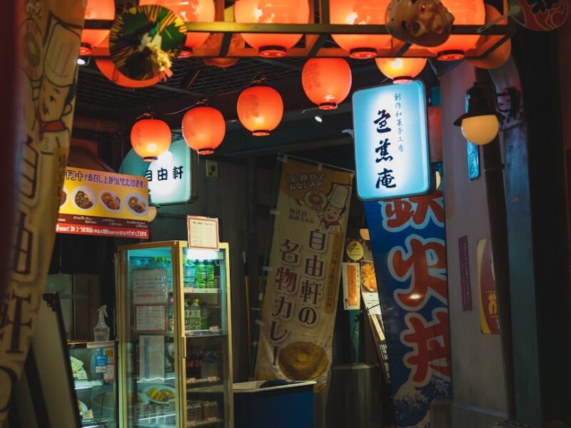 Tokyo to Hakone Shinkansen Guide | Routes, Tickets, Prices