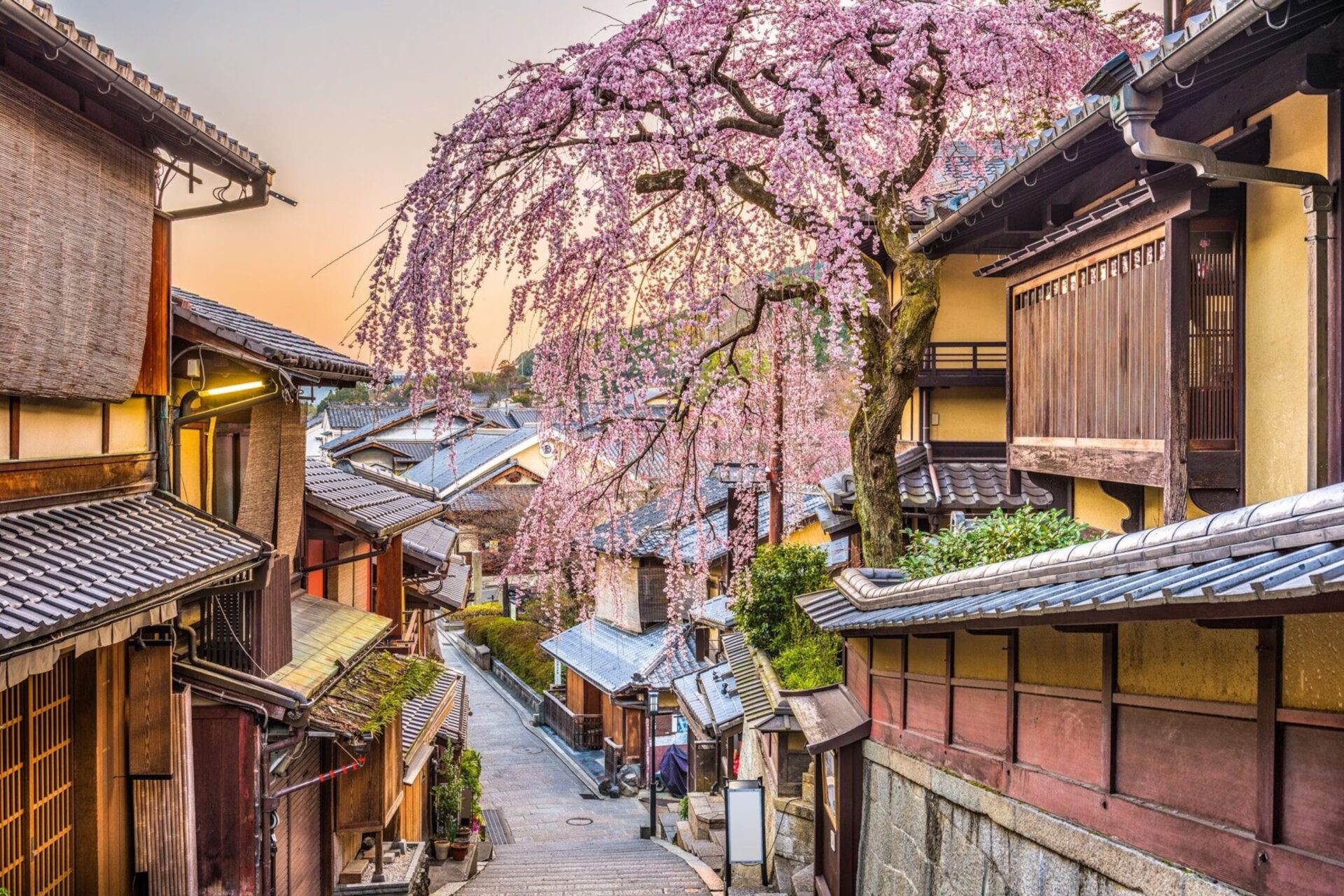 Tokyo to Kyoto Shinkansen Guide | Tickets, Options, Prices & Tips