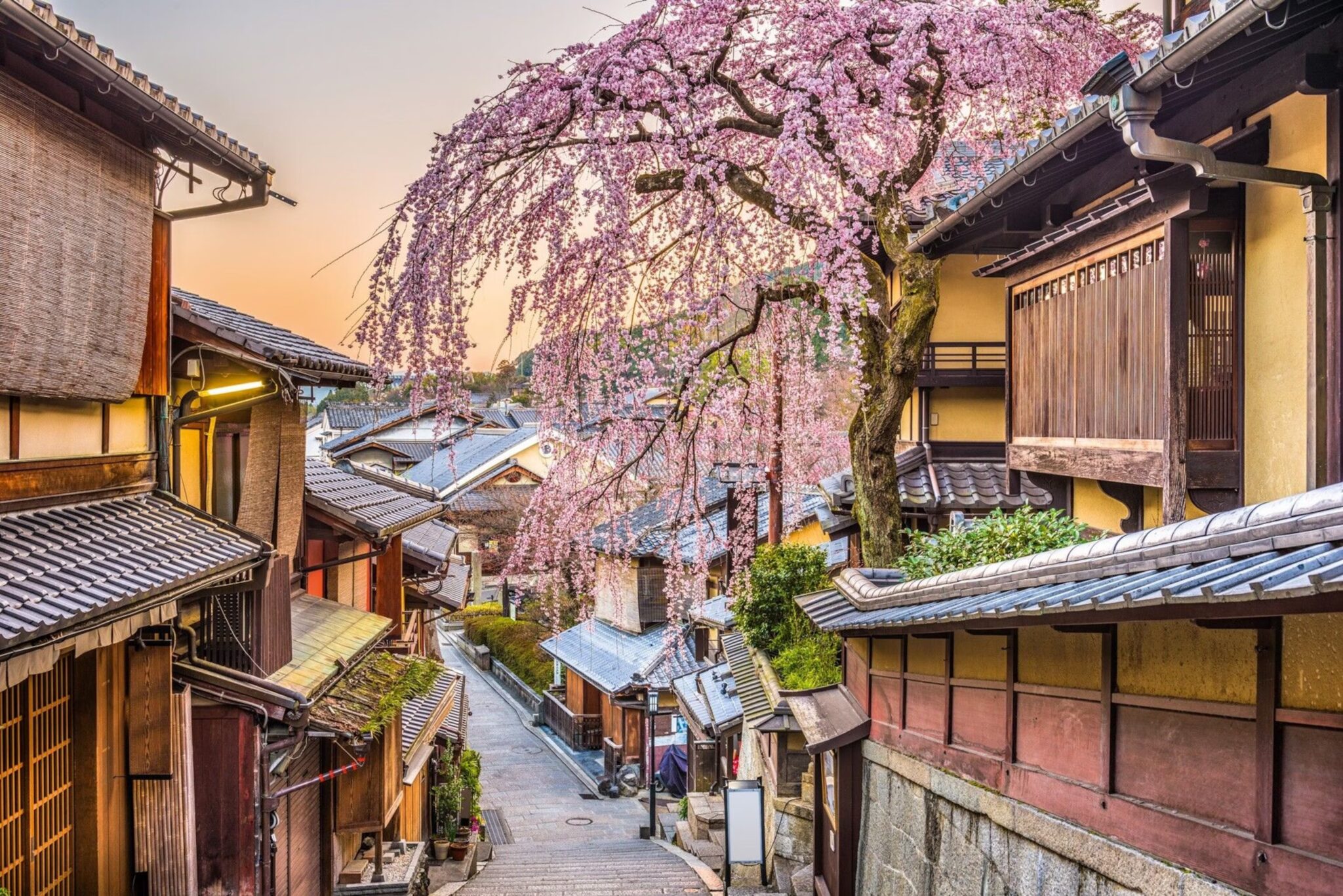 Tokyo to Kyoto Shinkansen Guide | Tickets, Options, Prices & Tips